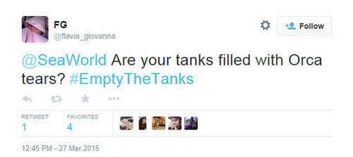 The Blue World Project is SeaWorld’s latest PR fix - The Dodo