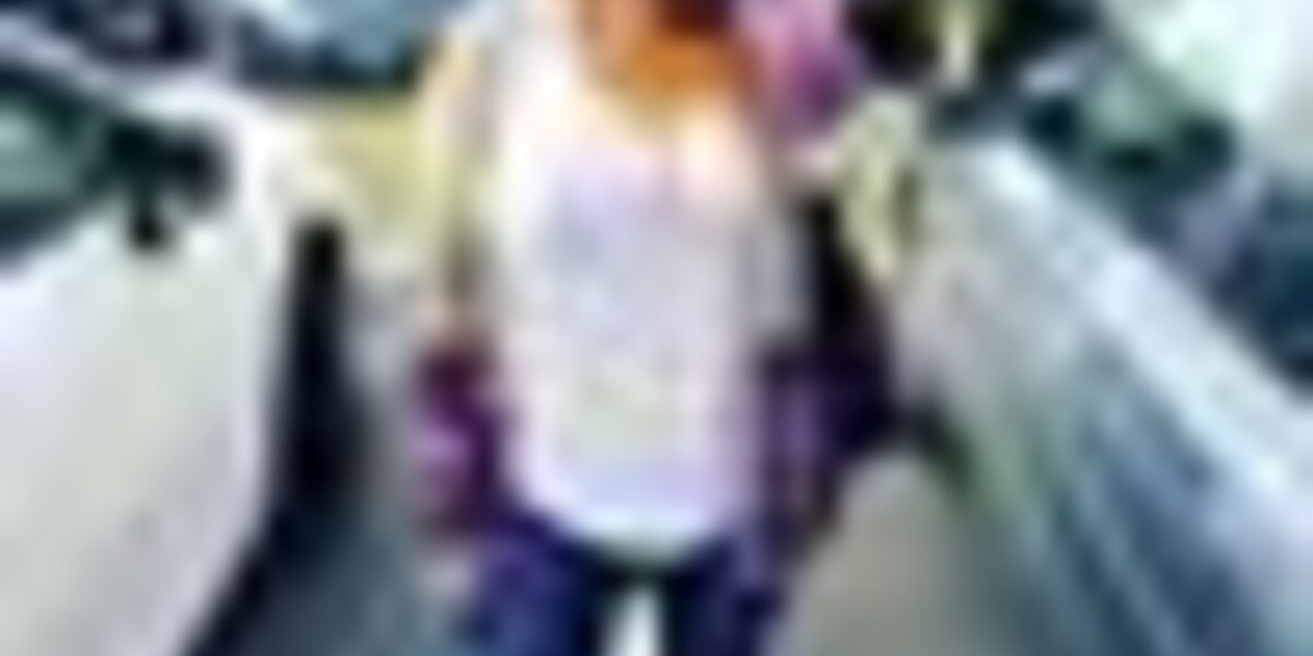 Jordan A. Sprogis - The Dodo