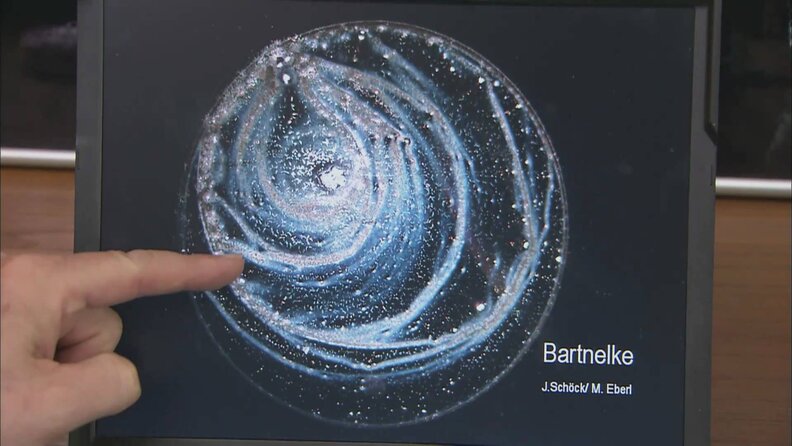 New Research Supports The Theory That Water Has Memory - The Dodo