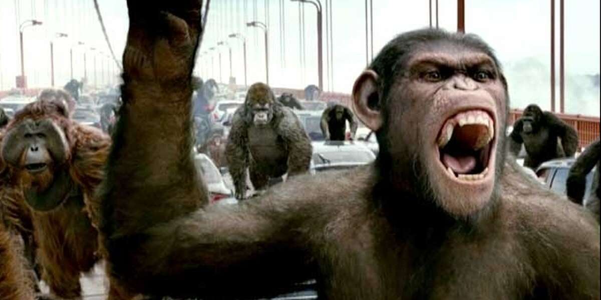 7 Films That Didn't Hurt A Single Animal - The Dodo