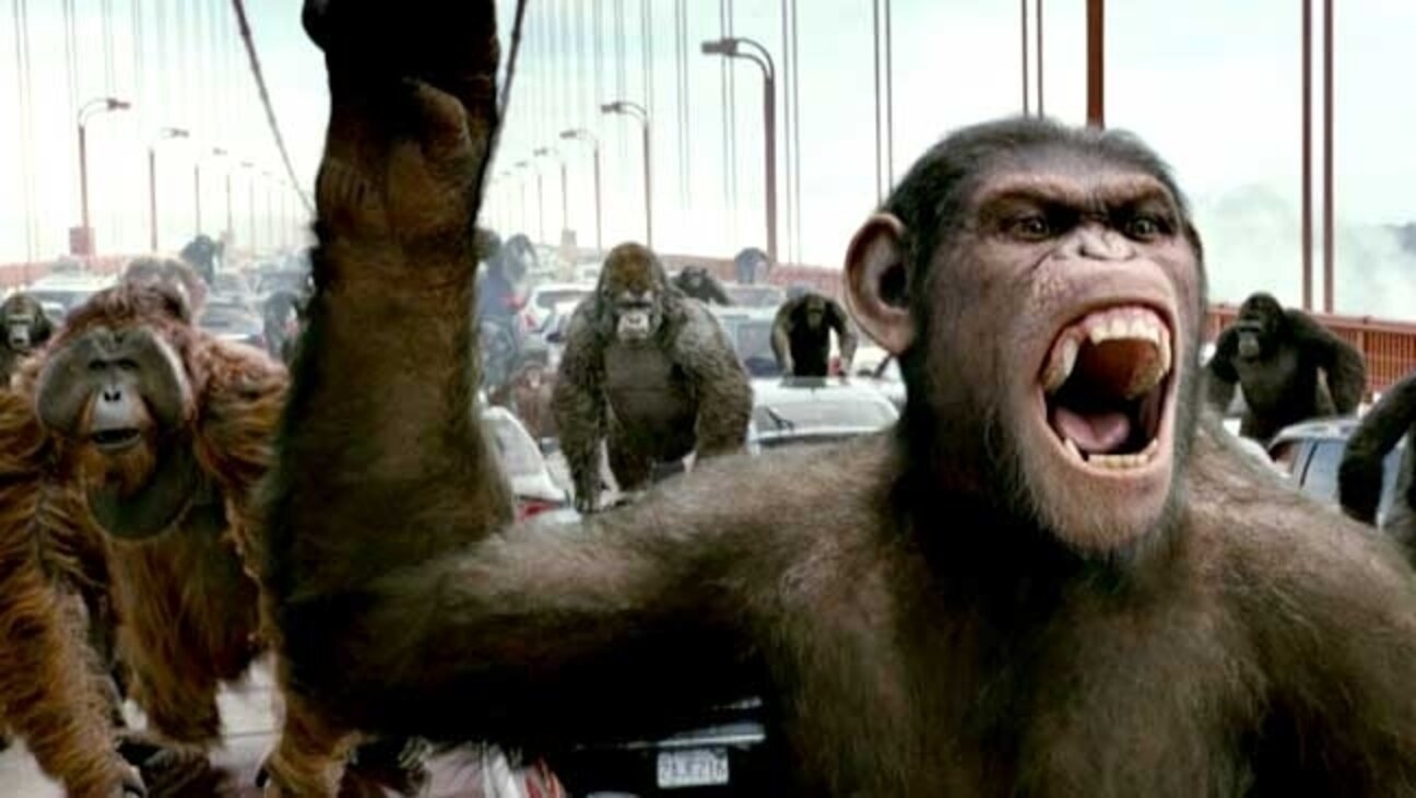 7 Films That Didn't Hurt A Single Animal - The Dodo