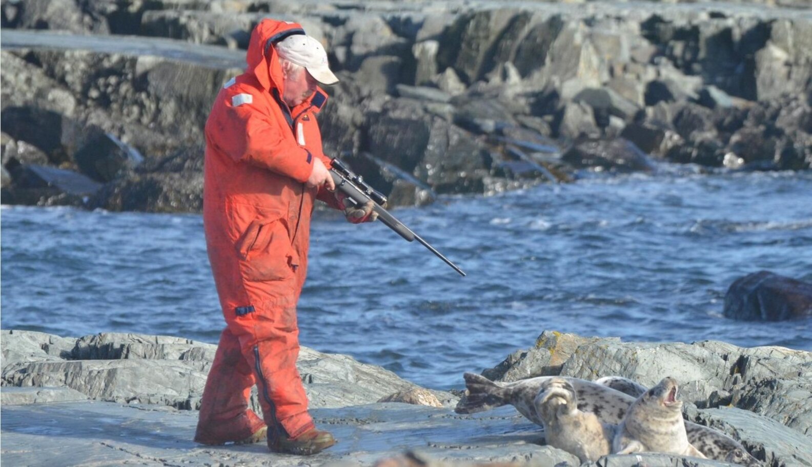 Seal Hunt Disgrace (Part one) - The Dodo
