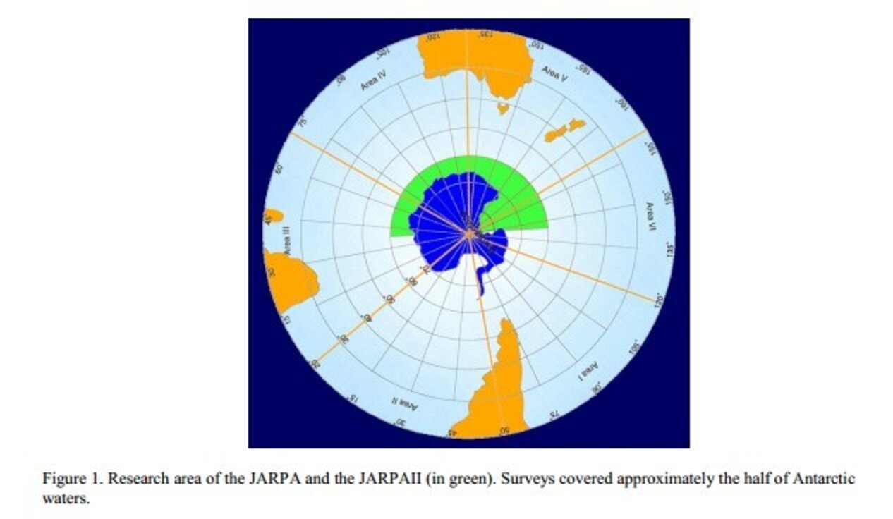 Japan's 'New' Whaling Plan Deemed 'A Slap In The Face Of The ...