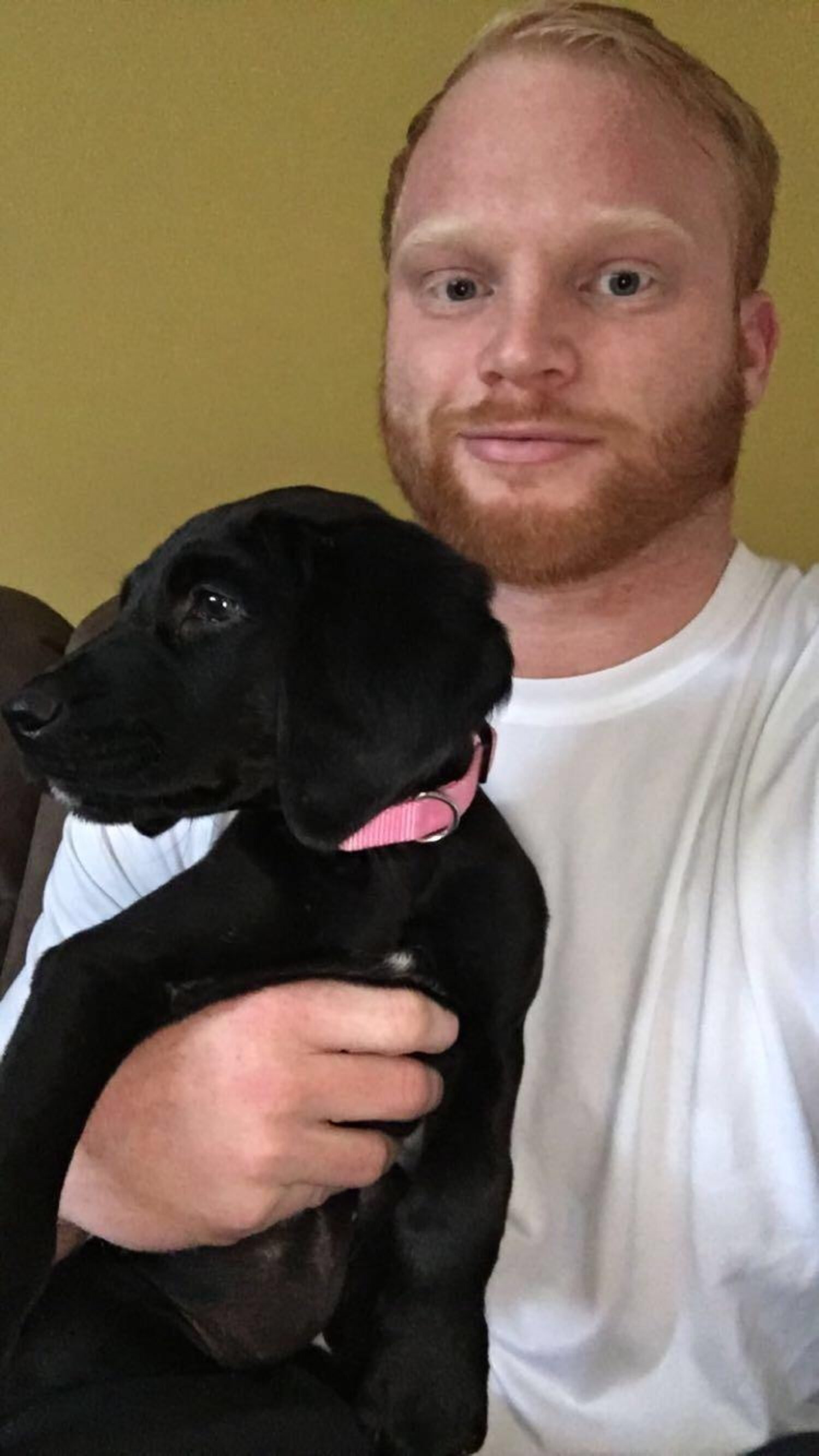 NFL Player Tyler Matakevich Adopts Rescue Puppy - The Dodo