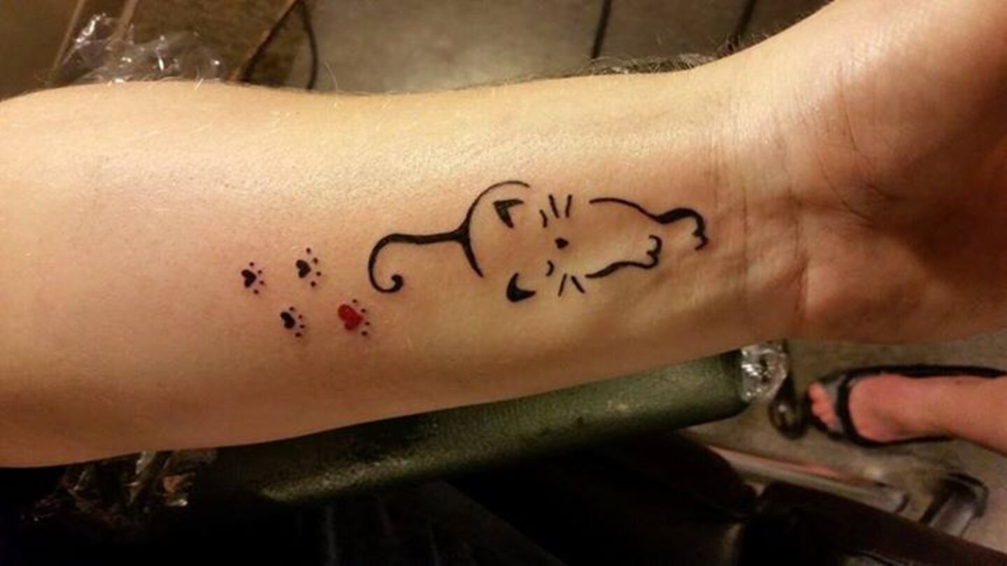 14 Tattoos That Perfectly Capture Cattitude - The Dodo