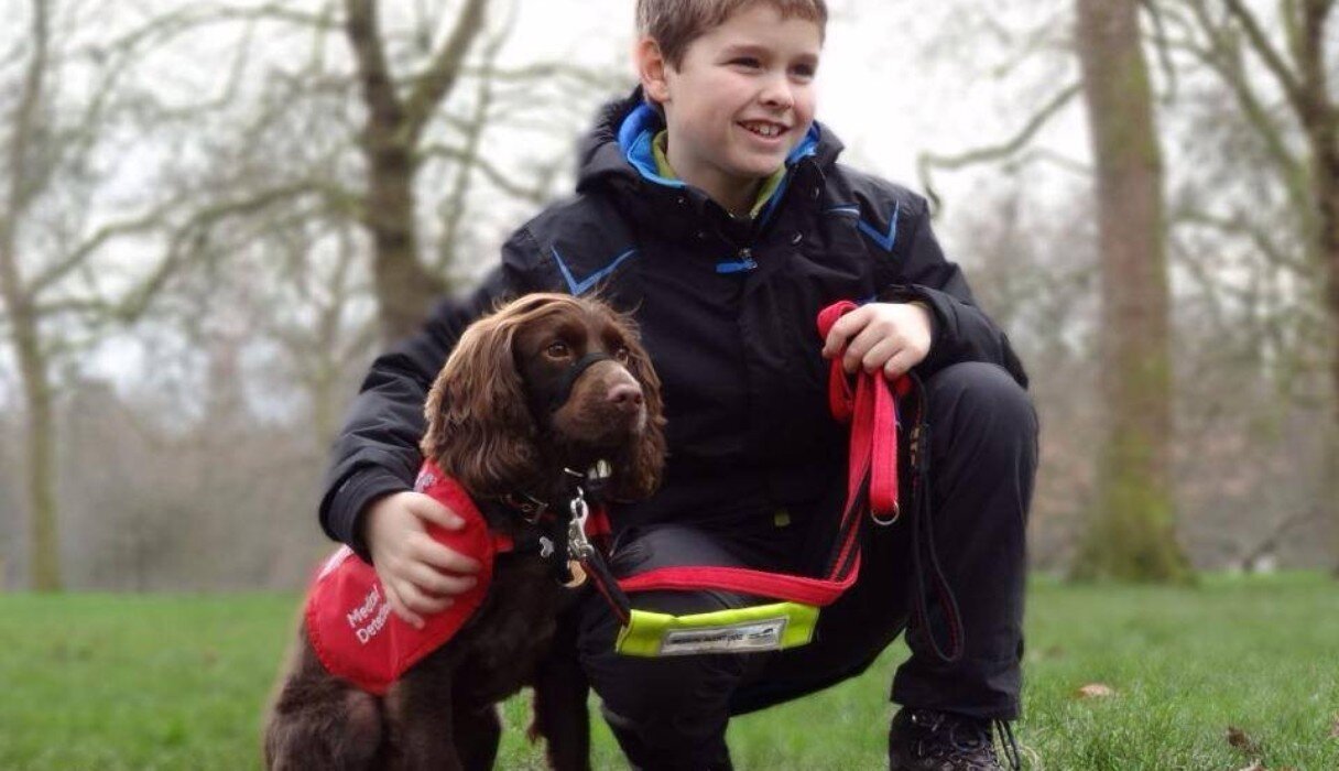 These Dogs Save Lives By Smelling People's Breath - The Dodo