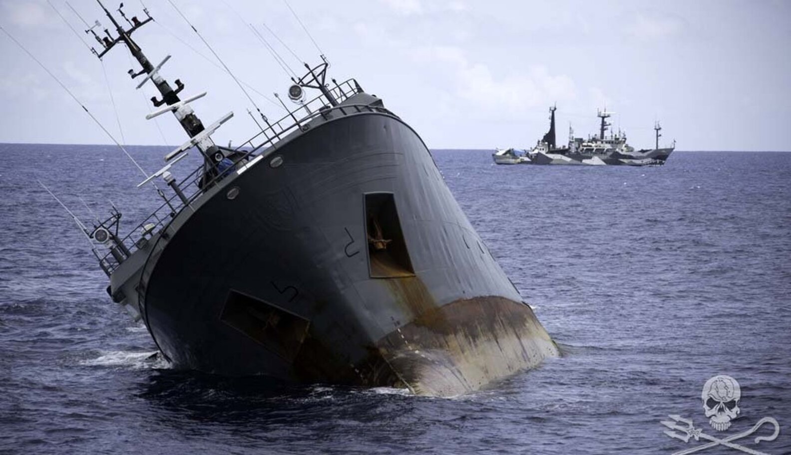 Historic Sea Poaching Pursuit Takes Life-Threatening Turn - The Dodo