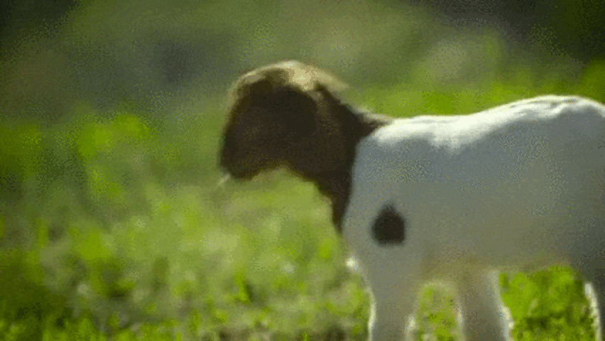They Thought She Wouldn't Survive, Then She Started Making Friends ...