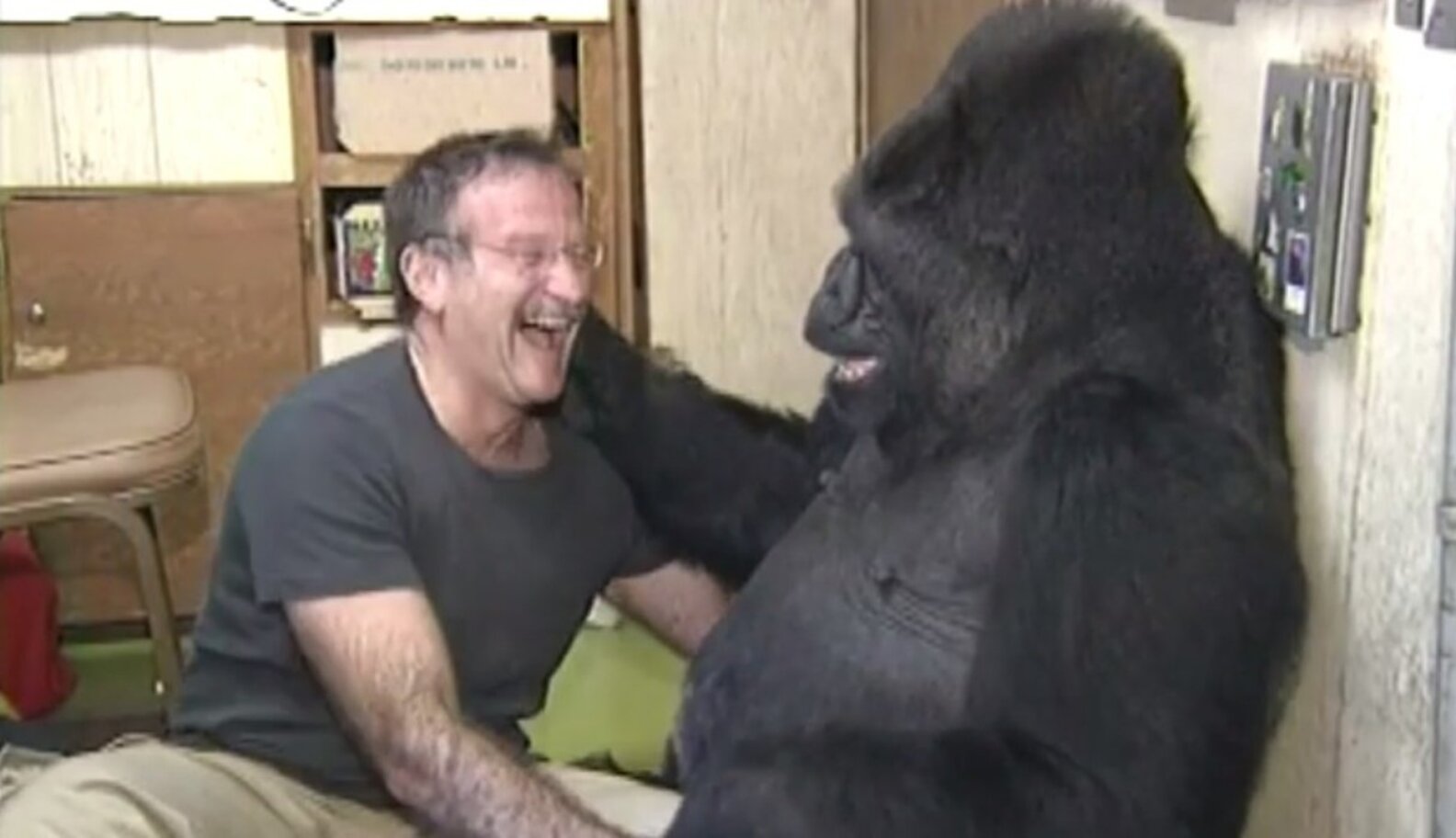 Remembering Robin Williams And His "Unforgettable" Bond With Koko The ...