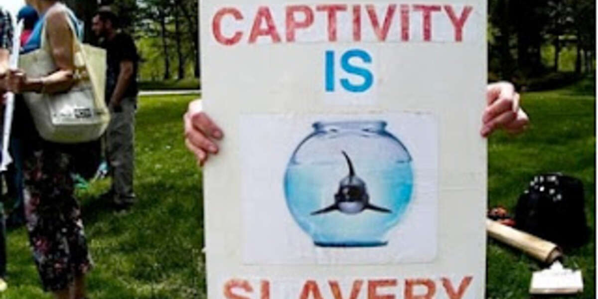 Wow, the backlash over the movie #blackfish is incredible. See the ...