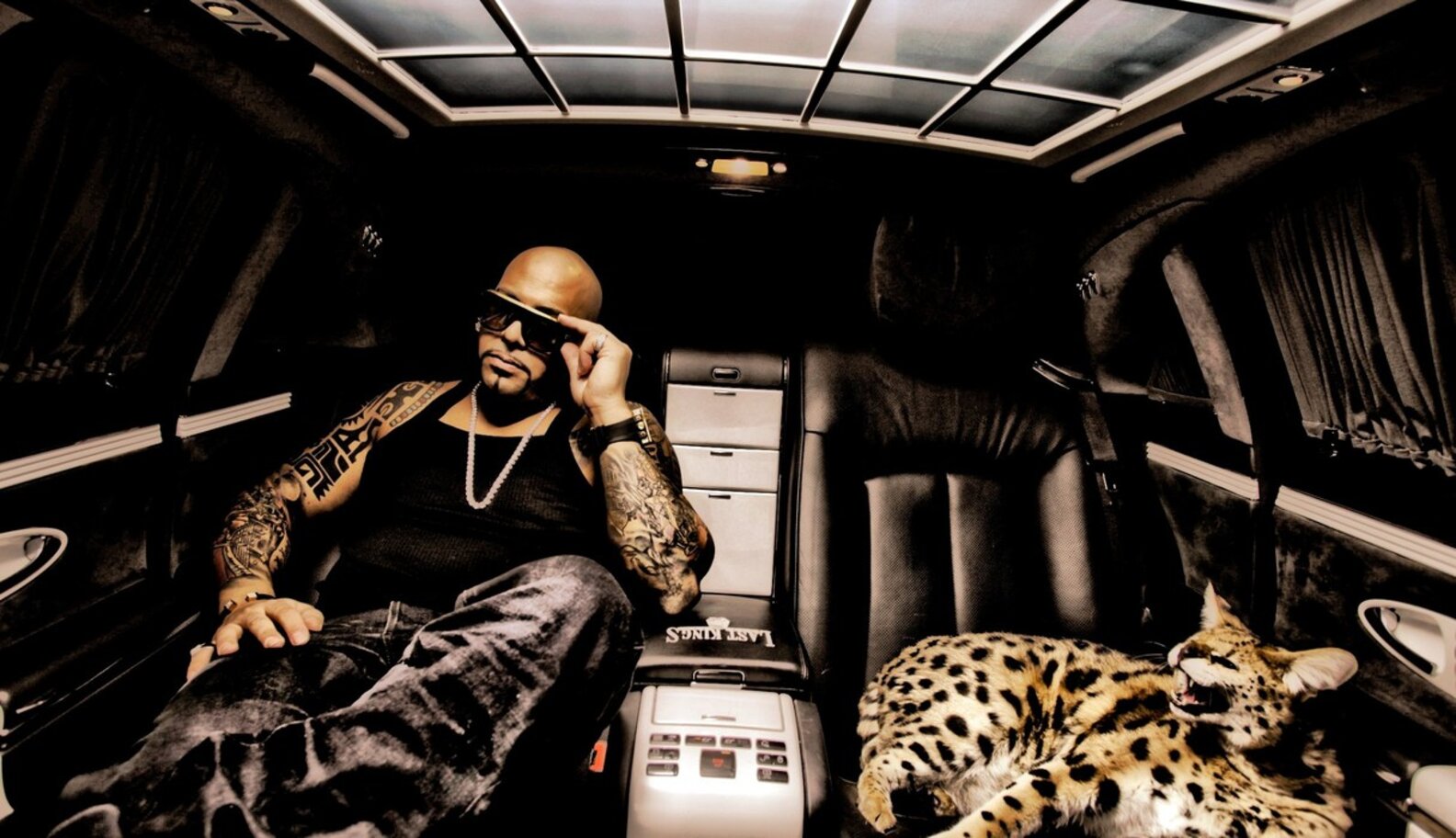 Rapper Mally Mall Antagonizes, Manhandles Pet Wild Cat - The Dodo