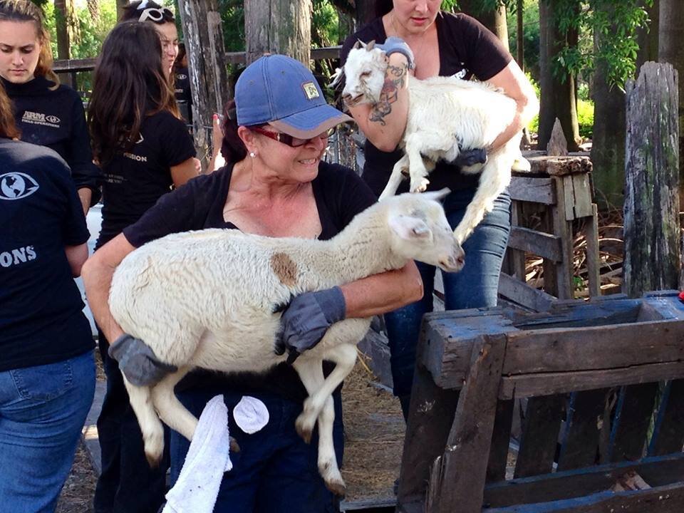 9,000 Animals Rescued From 'Worst Torture Operation' In The U.S. - The Dodo