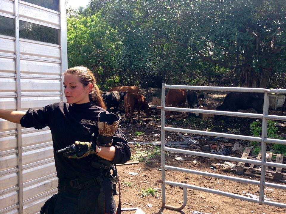 9,000 Animals Rescued From 'Worst Torture Operation' In The U.S. - The Dodo