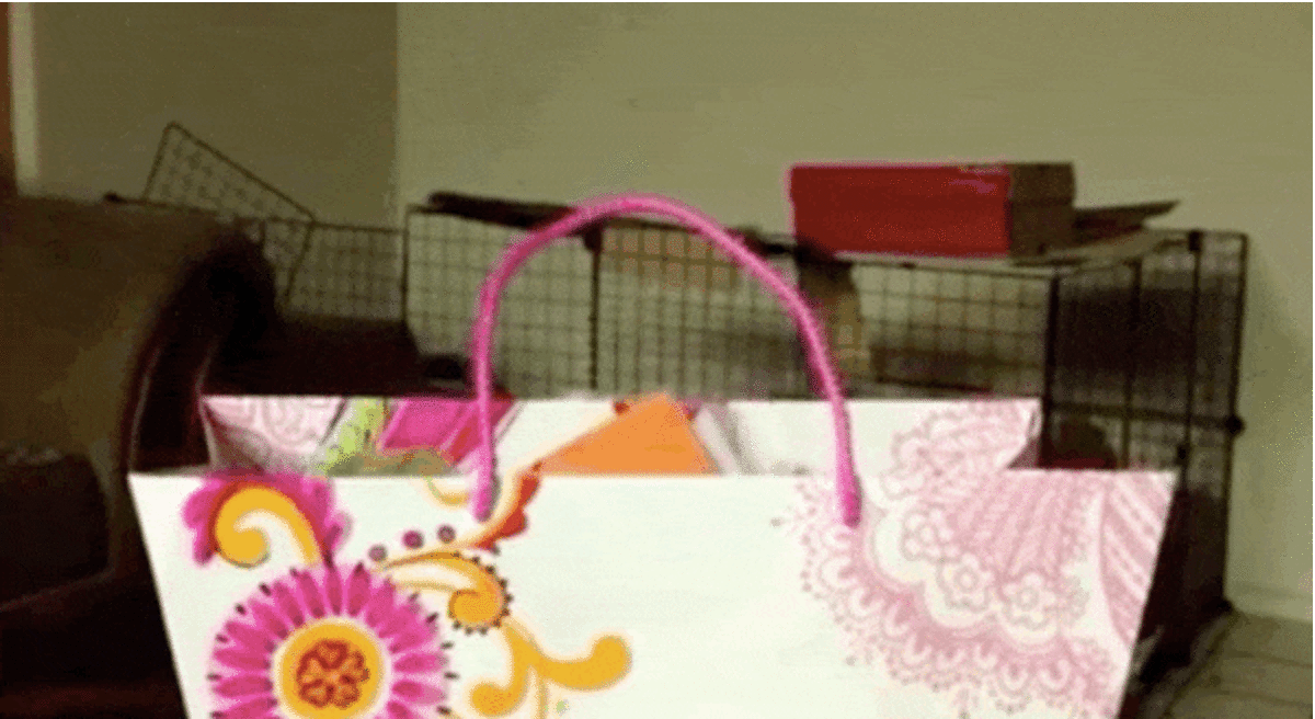 30 Mischievous Bunnies Who Have No Regrets About Taking Over Your House ...