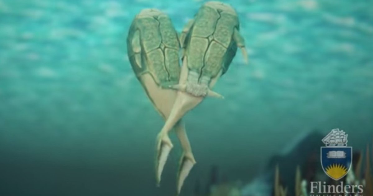 Meet The Ancient Fish Who Invented Sex - The Dodo