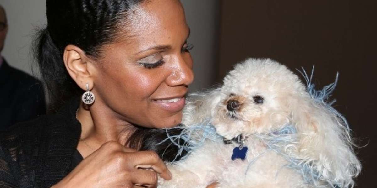 Canine Starlets Audition For Role Of A Lifetime - The Dodo