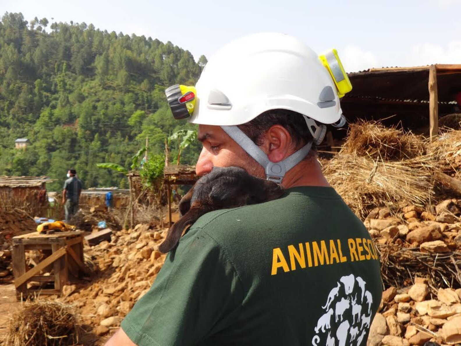 Touching Photos Capture Animals Who Survived Nepal Earthquake - The Dodo