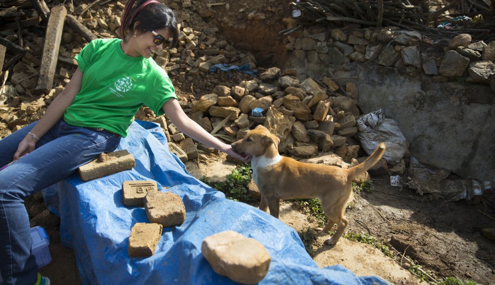 Touching Photos Capture Animals Who Survived Nepal Earthquake - The Dodo