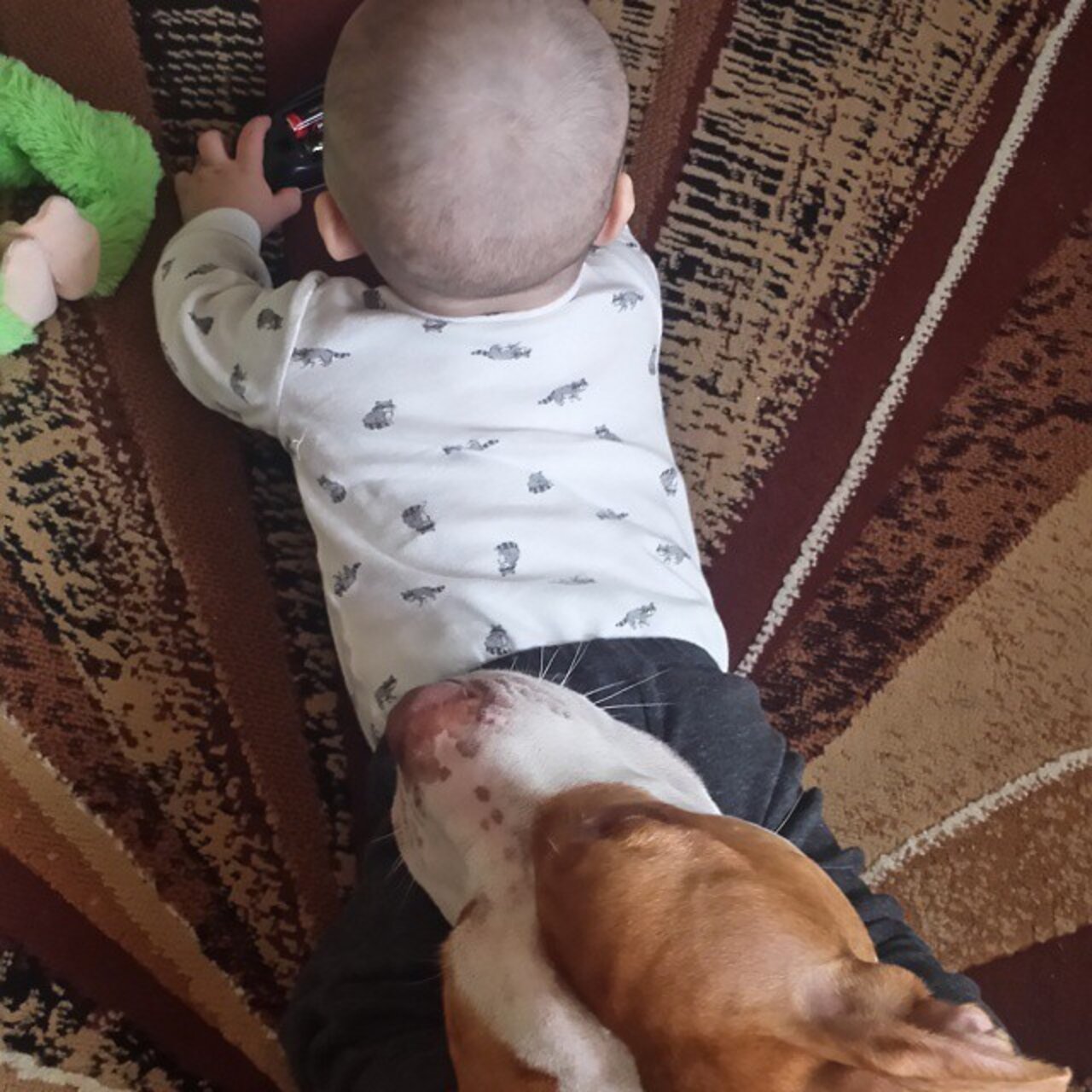 18 Pit Bulls Who Really, Really Love Their Human Babies - The Dodo