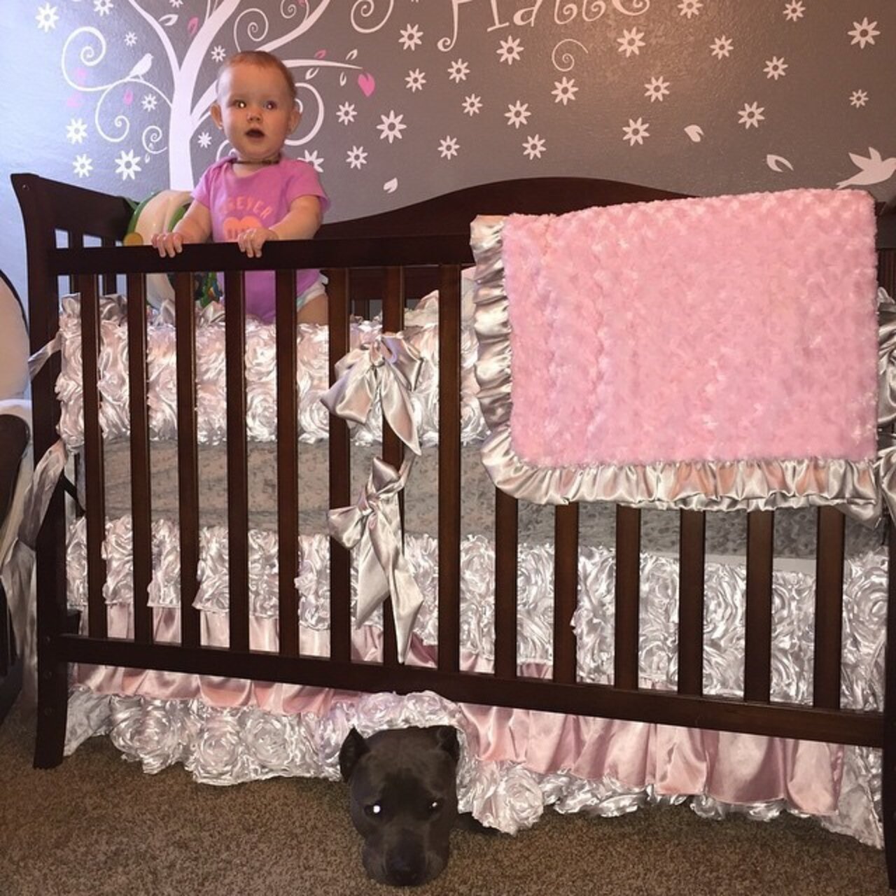 18 Pit Bulls Who Really, Really Love Their Human Babies - The Dodo