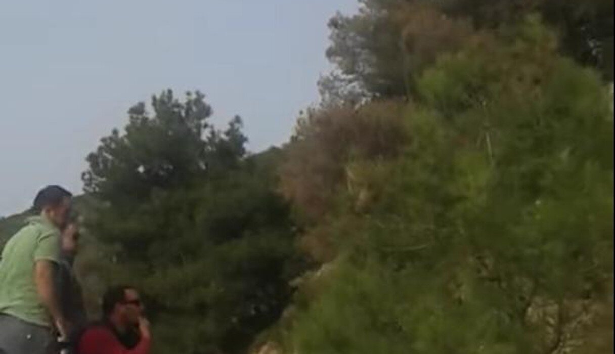 Goat Dangling From Power Line Doesn't Get What The Big Deal Is - The Dodo