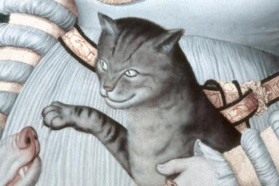 13 Renaissance Cats Who Just Don't Give A Sh*t - The Dodo