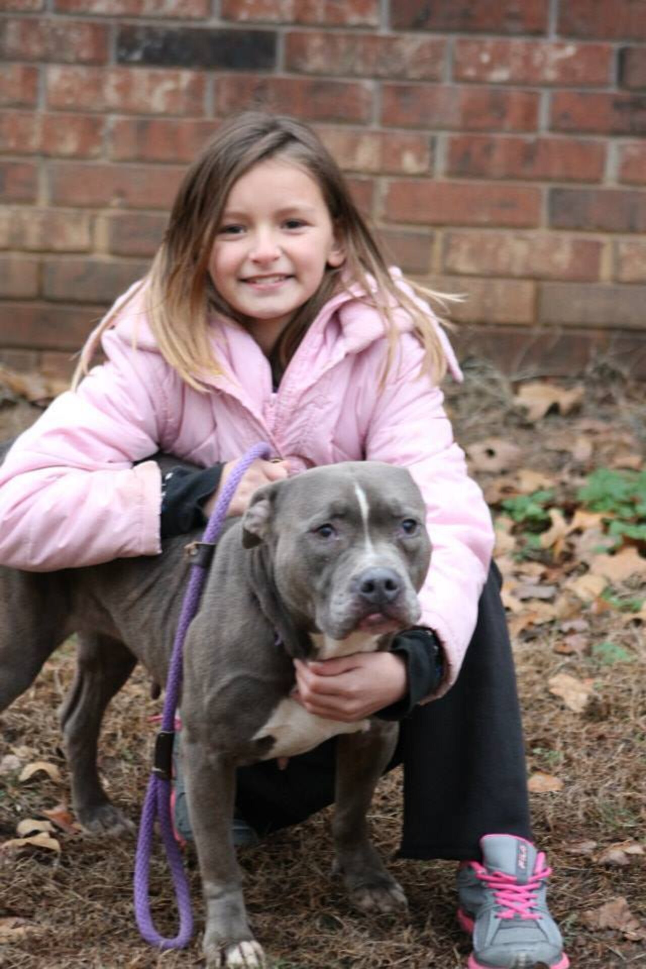 Stray Pit Bulls Were Shot In This Town. Until One Woman Stepped In ...