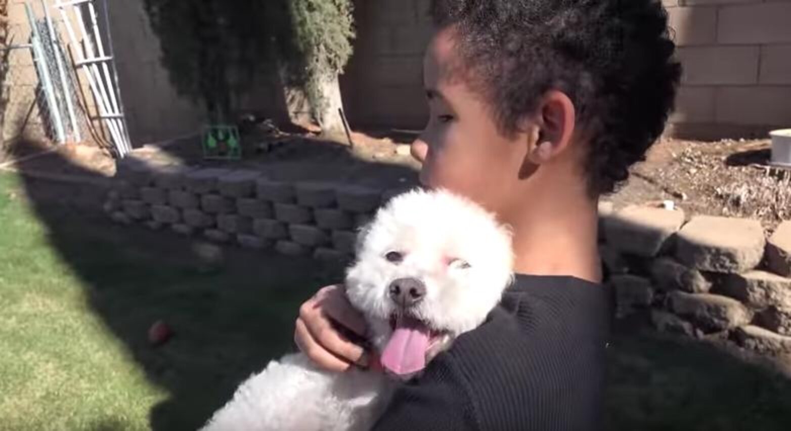 Homeless Dog Living On The Streets Rescued By A Little Boy - The Dodo