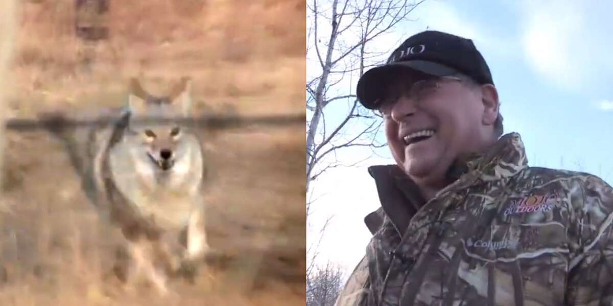 Frightened Coyote Gives Hunters A Hearty Laugh (Before They Shoot Him ...