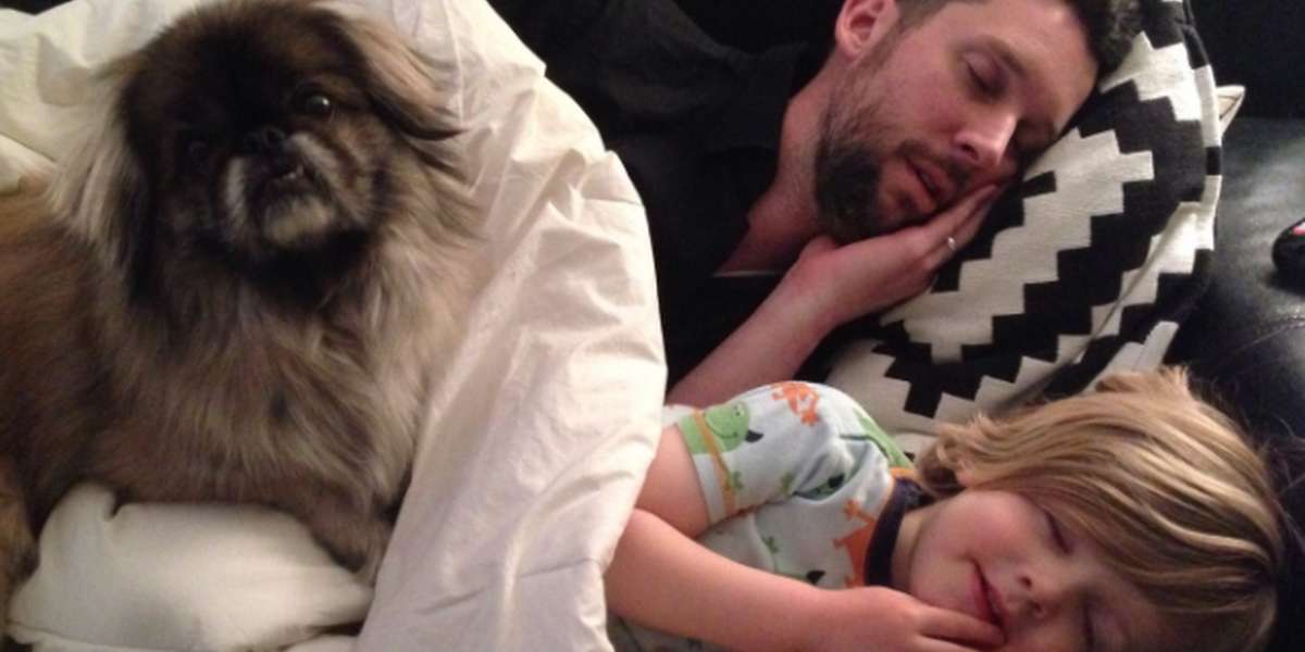 Dog's Family Recreates The Same Photo Years Later - The Dodo