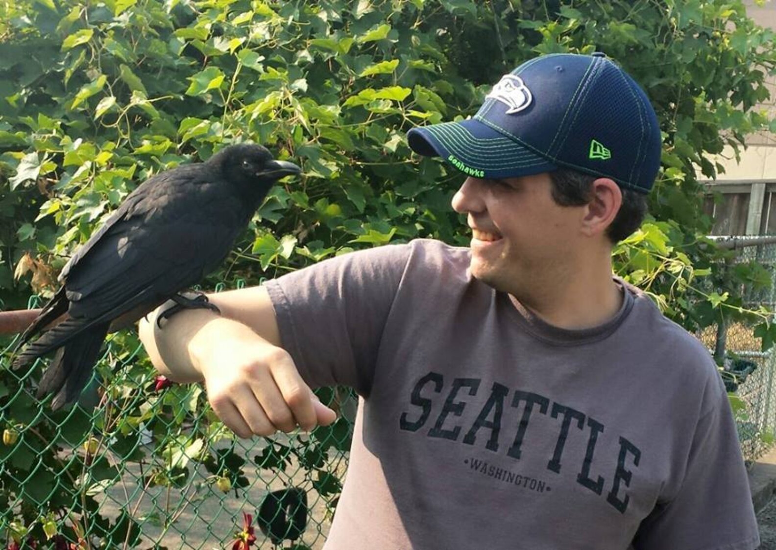 Crow Refuses To Leave The Man Who Saved His Life - The Dodo