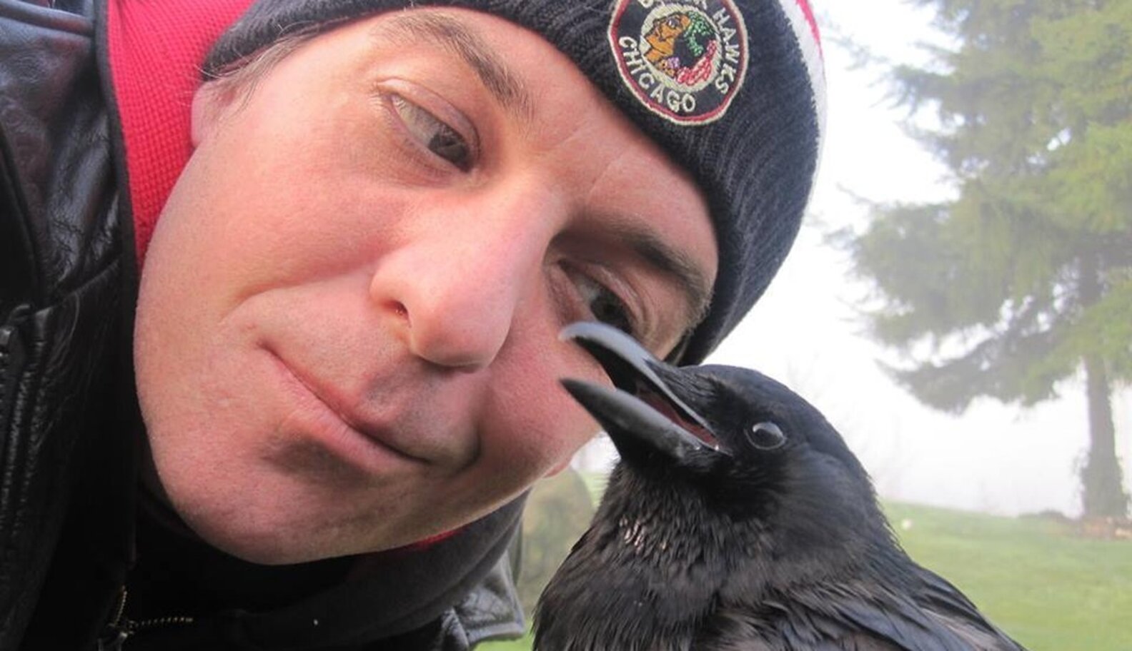 Crow Refuses To Leave The Man Who Saved His Life - The Dodo