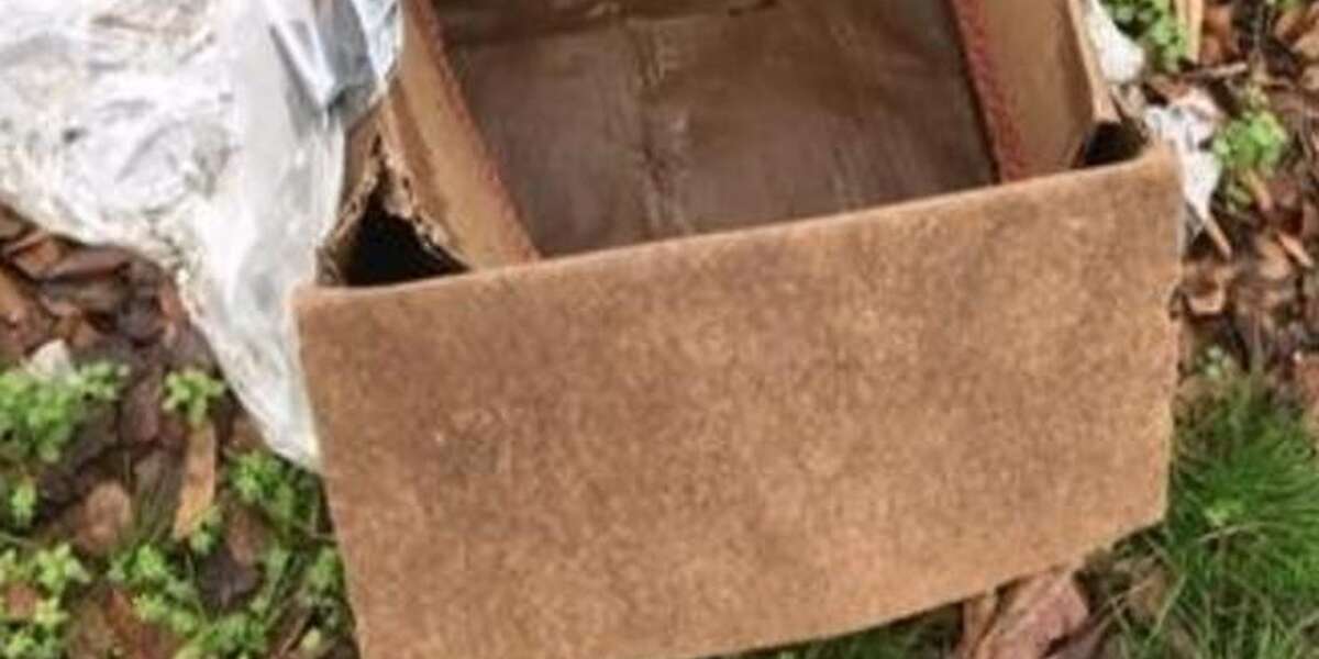 Woman Opens Cardboard Box And Discovers An Animal Inside ... Still ...