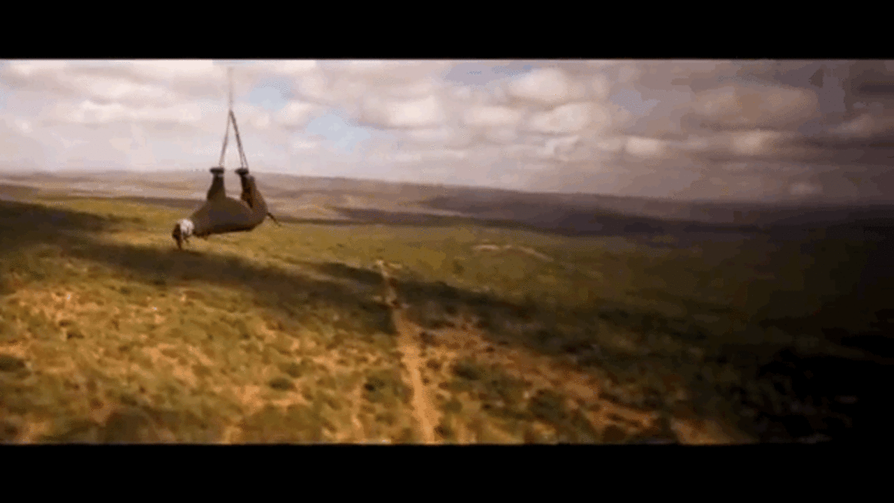 5 Flightless Animals Who've Taken Flight To Save Their Species - The Dodo