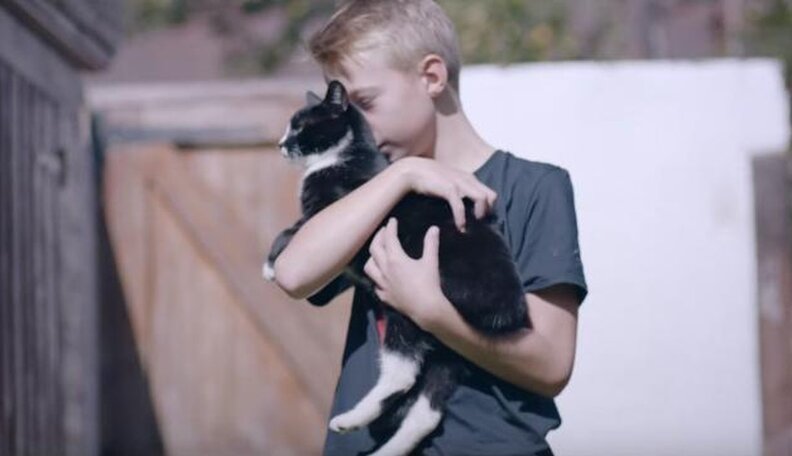 Touching Video Shows How The Pets We Rescue Actually Save Us - The Dodo