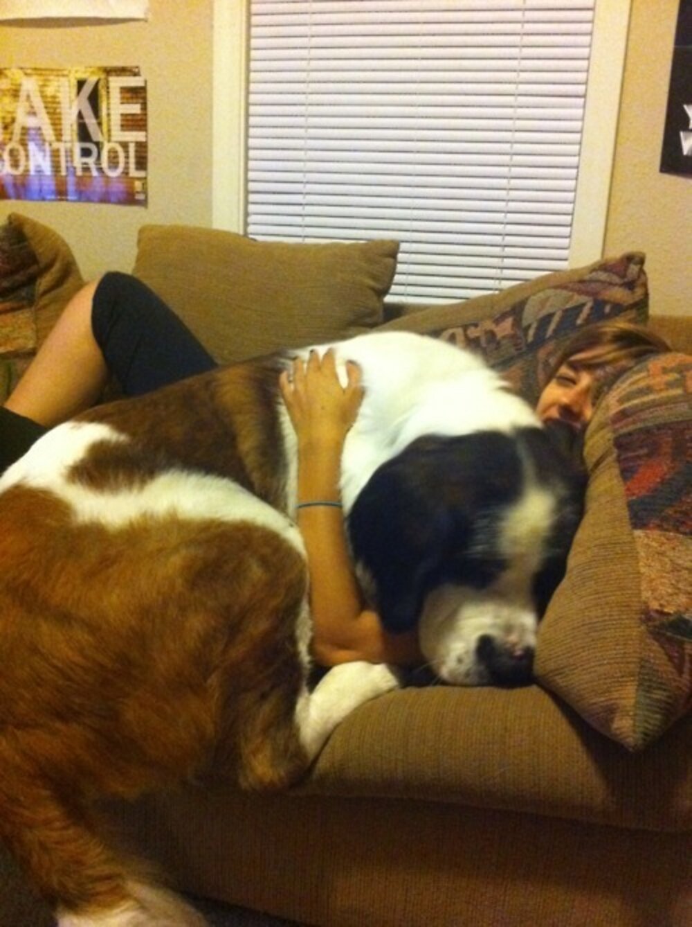 15 Enormous Dogs Who Are Actually Just Big Babies - The Dodo