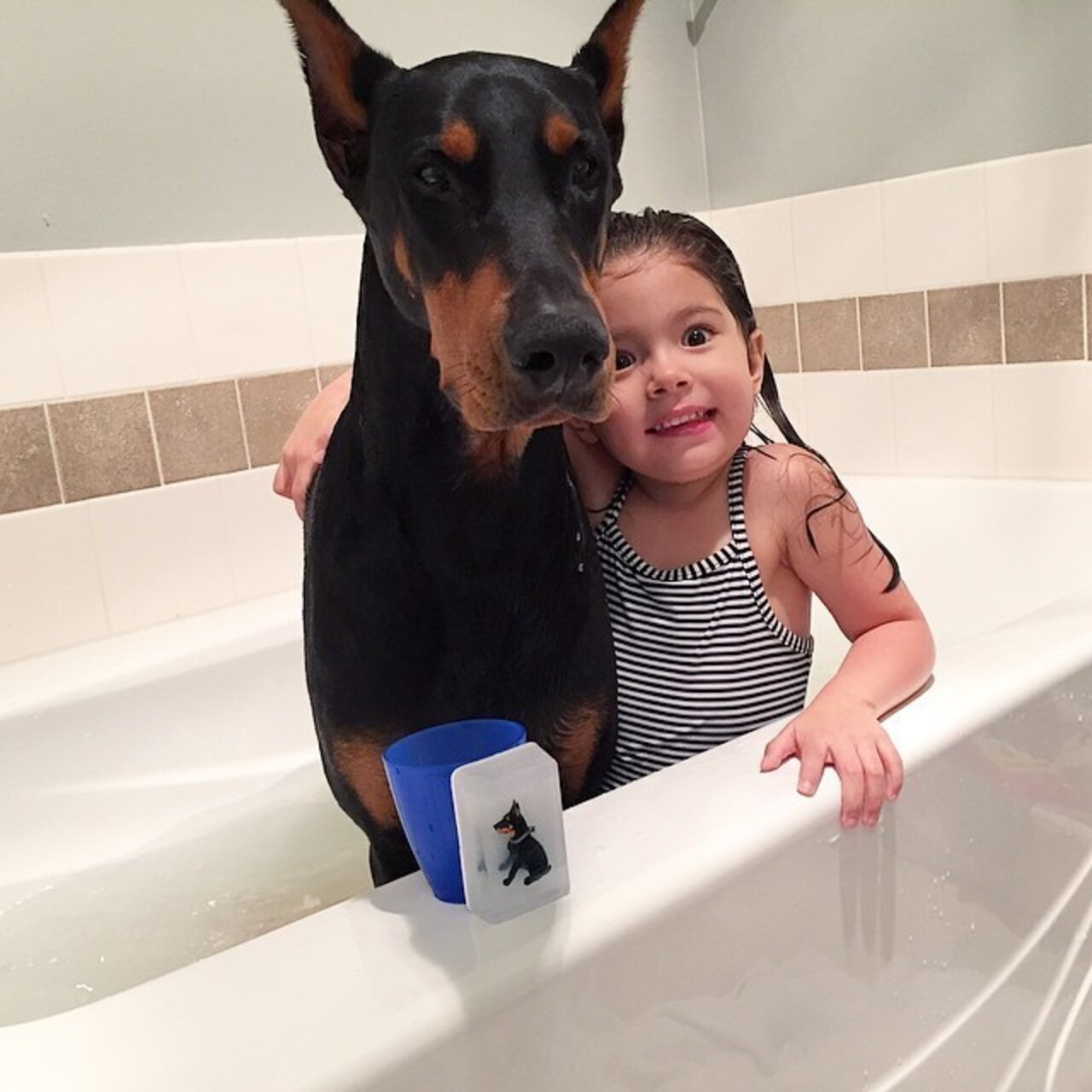The Cutest Pet Friendships On Instagram - The Dodo
