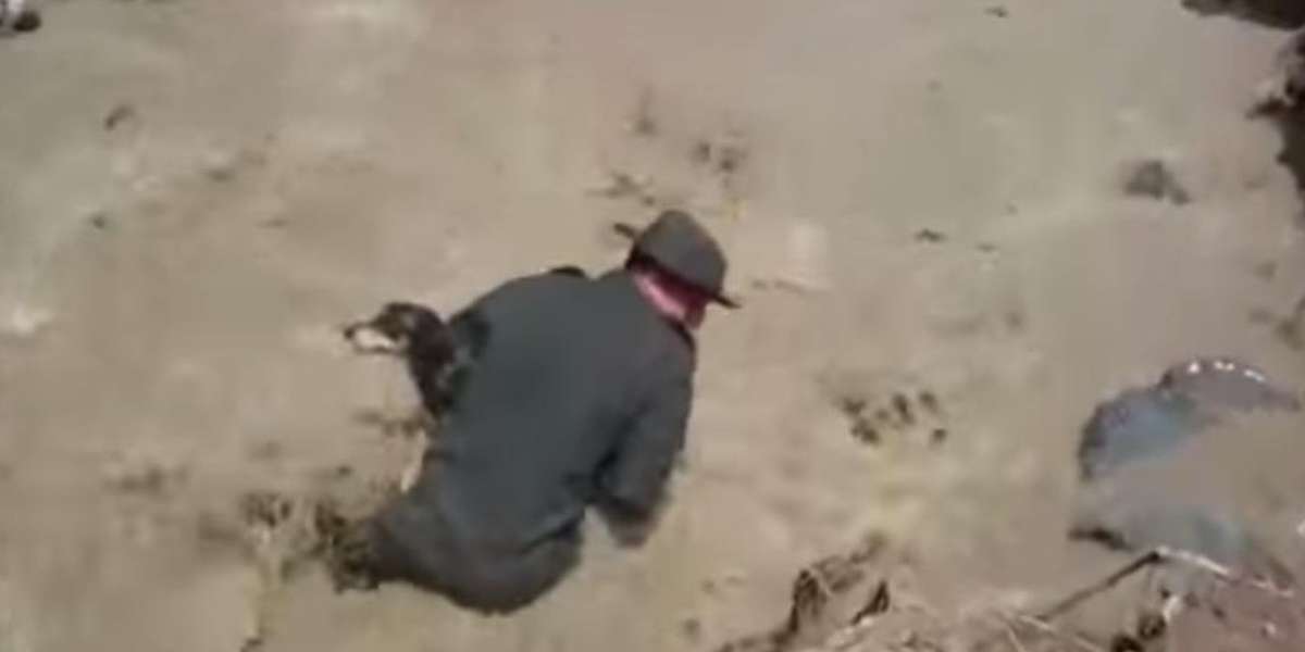 Drowning Dog Plucked From Raging Waters, Revived With CPR - The Dodo