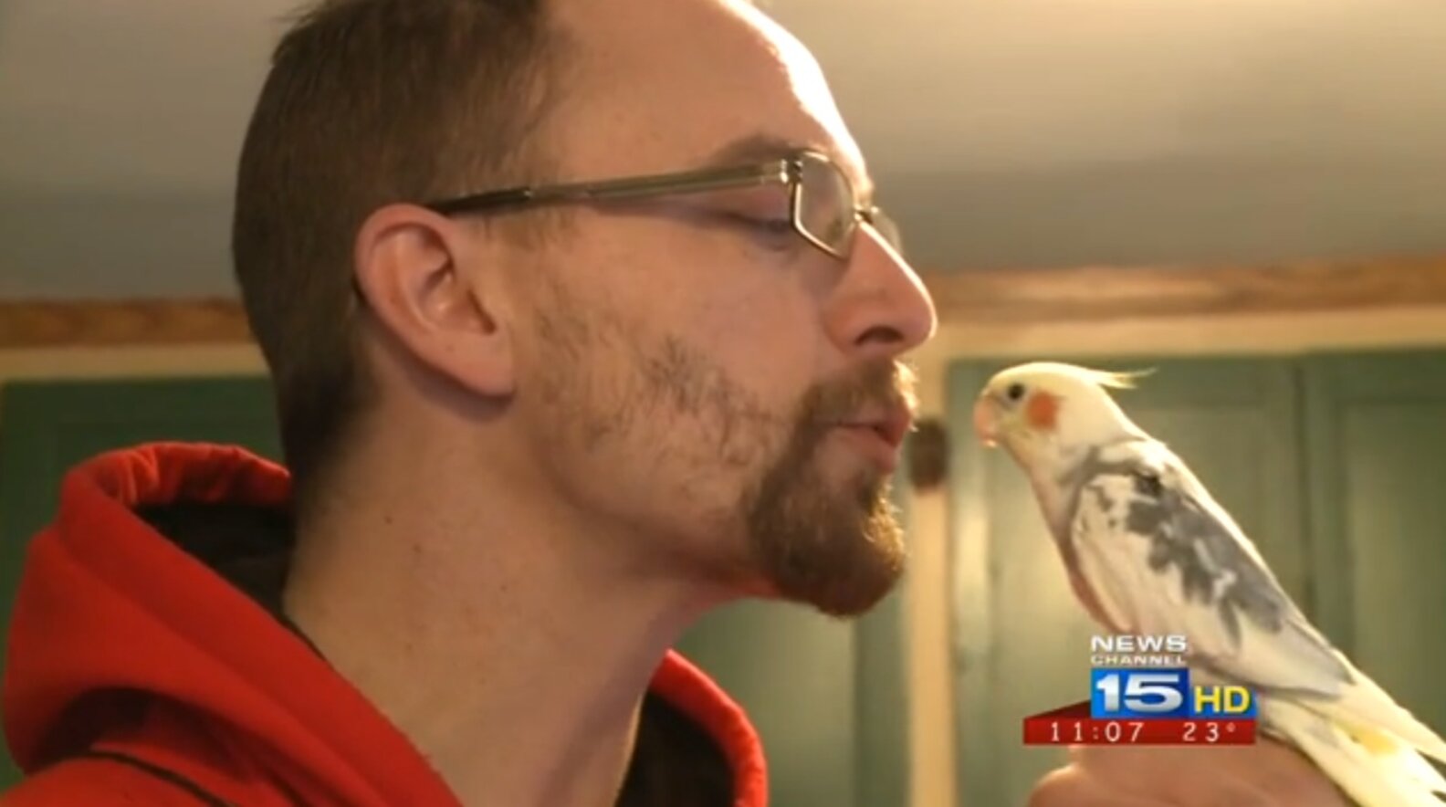 Pet Cockatiel Saves Man From Burning Home - The Dodo