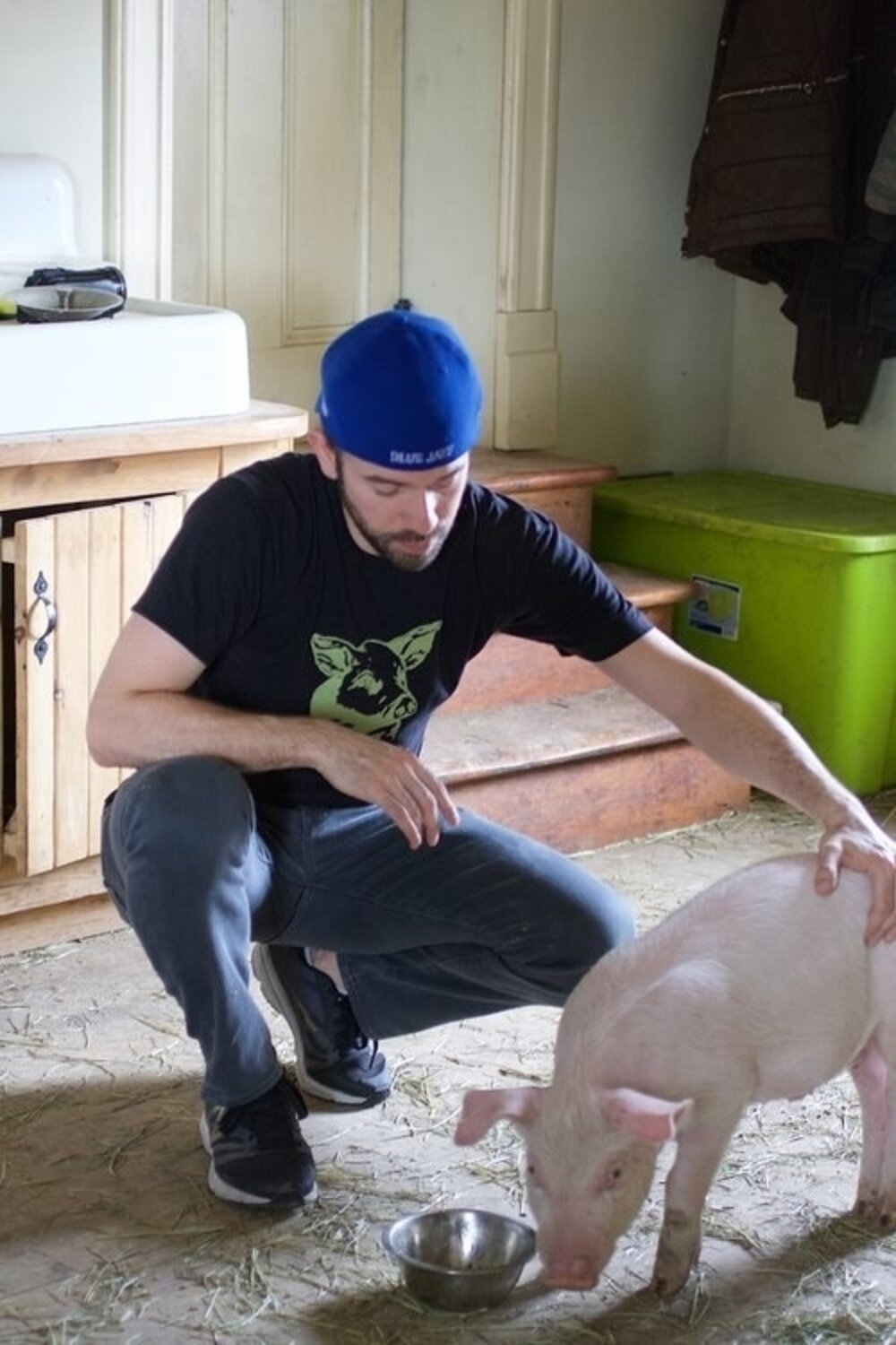 They Saw This Baby Pig And Knew They Had To Save Her Life - The Dodo