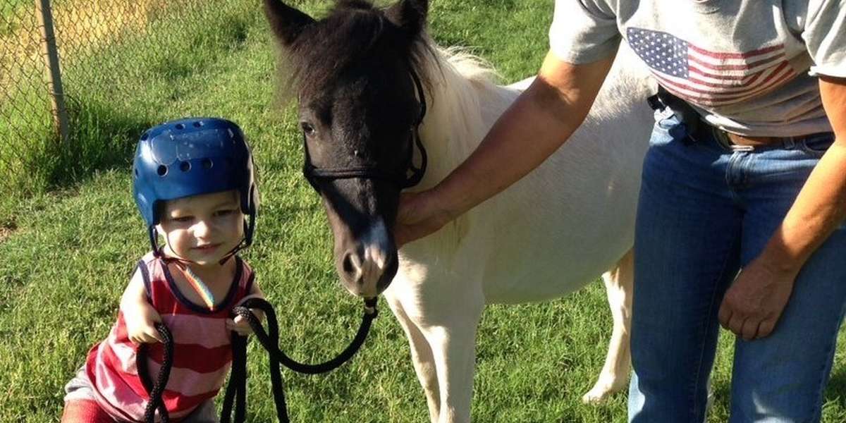 Mini Horses Help Boy Feel More Like Other Kids - The Dodo