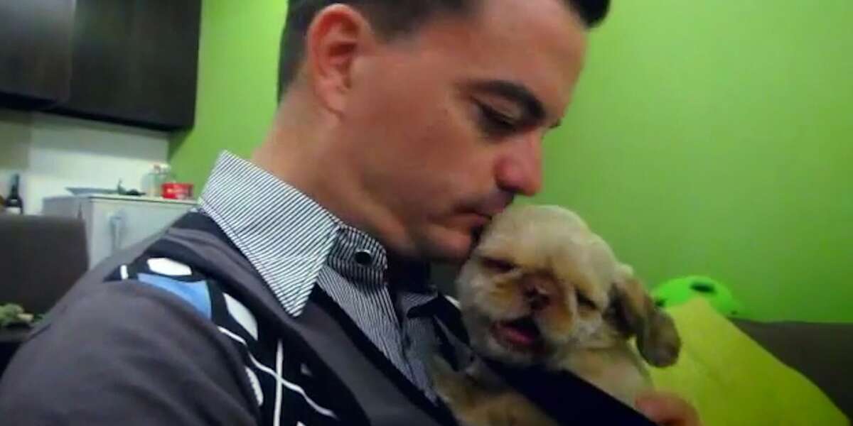 Rescue Dog Goes Apesh*t When His Dad Gets Home From Work - The Dodo