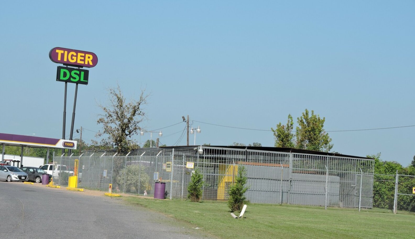 Magnificent Tiger Stuck In Truck Stop Prison For 15 Years - The Dodo