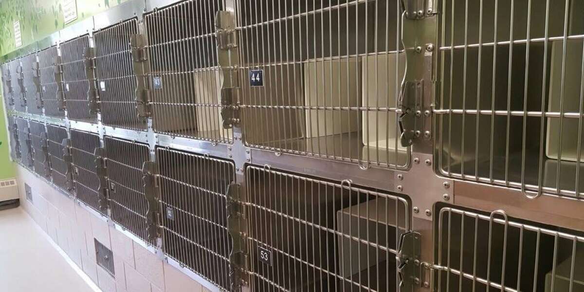 It's The First Time These Kennels Have Ever Been Empty - The Dodo