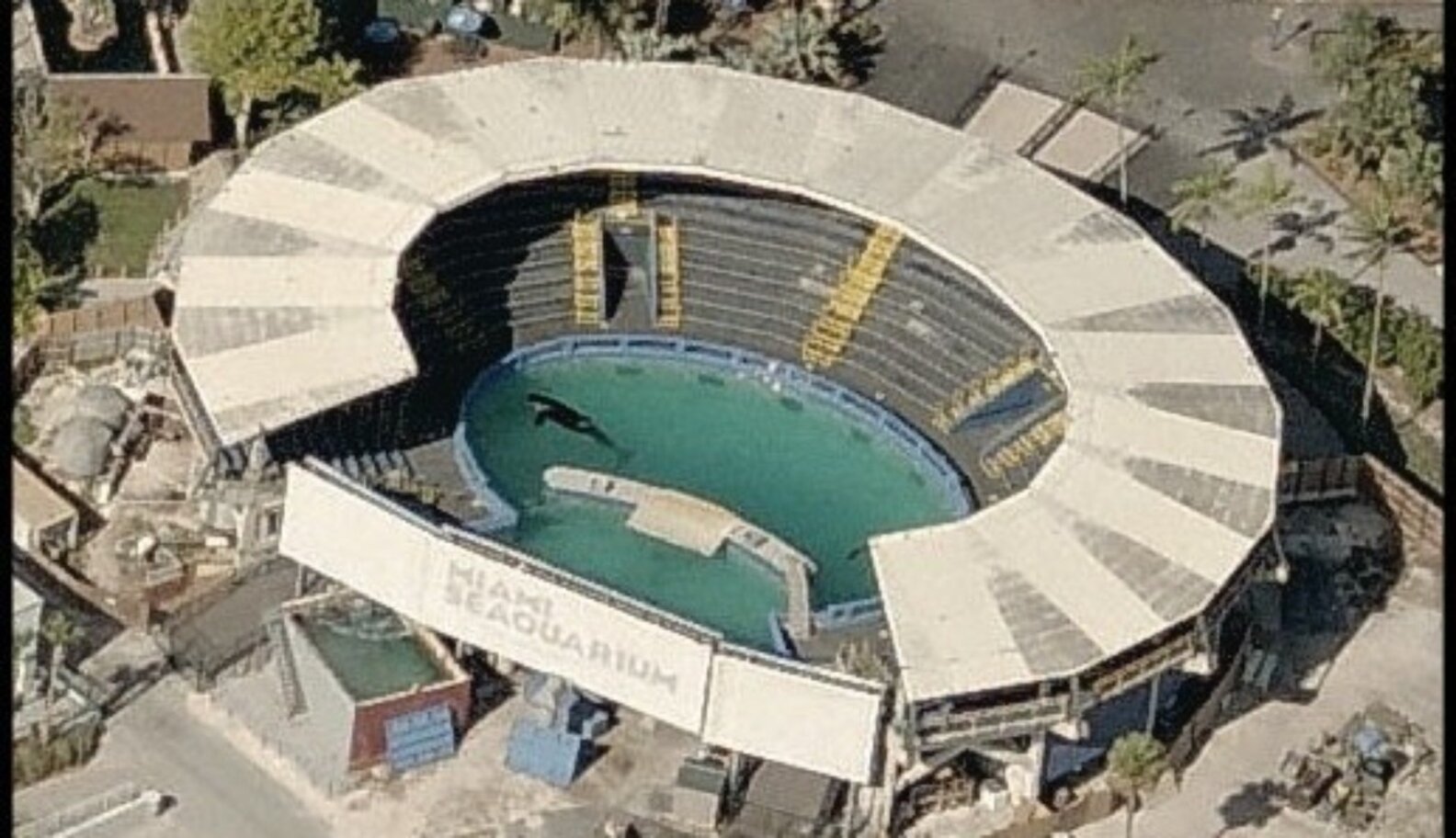 SeaWorld Isn't The Only Guilty One: 9 Parks Around The World Keeping ...