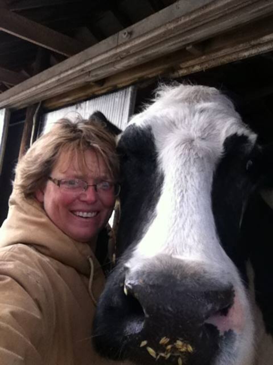 World's Tallest Cow Goes To That Big Ol' Pasture In The Sky - The Dodo