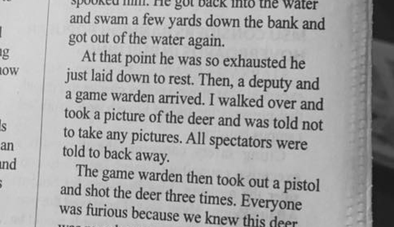 Locals Turn To Wildlife Officers To Help Deer — And They Kill Him - The ...