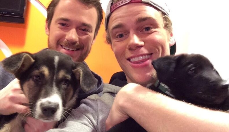 Olympian Gus Kenworthy Finally Reunited With Rescued Sochi Strays - The ...