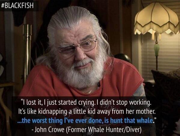 :( RT @WHALES_org "it's like kidnapping a little kid; worst thing I've ...