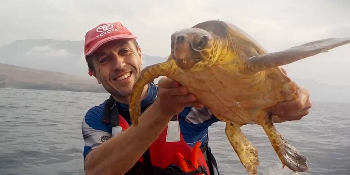 Turtle Rescued From Fishing Net - The Dodo